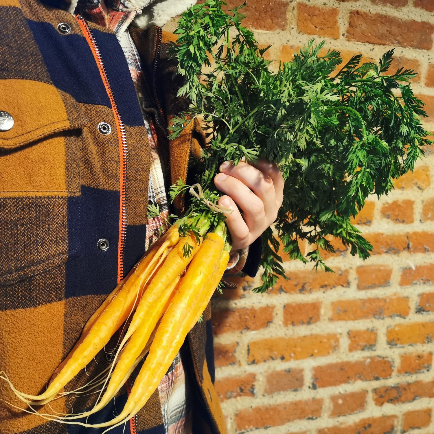 Exploring the Land Use Plus Aims - Brighton and Hove Food Partnership